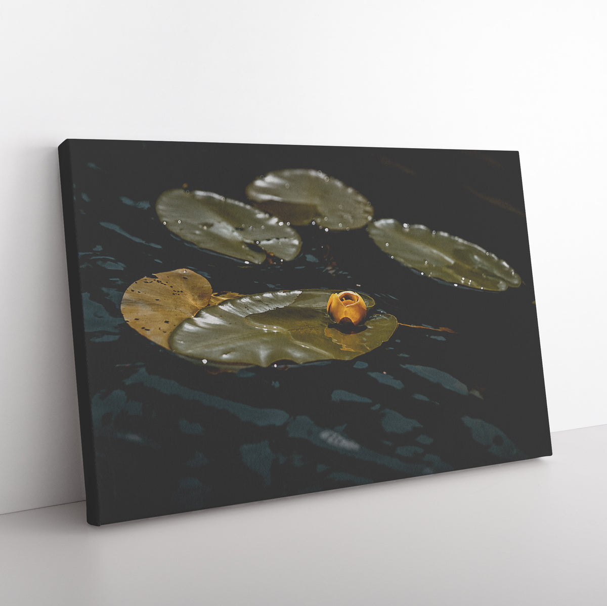 Fine Art Photography The Crisp Lillypad – Brantley Decor & Design